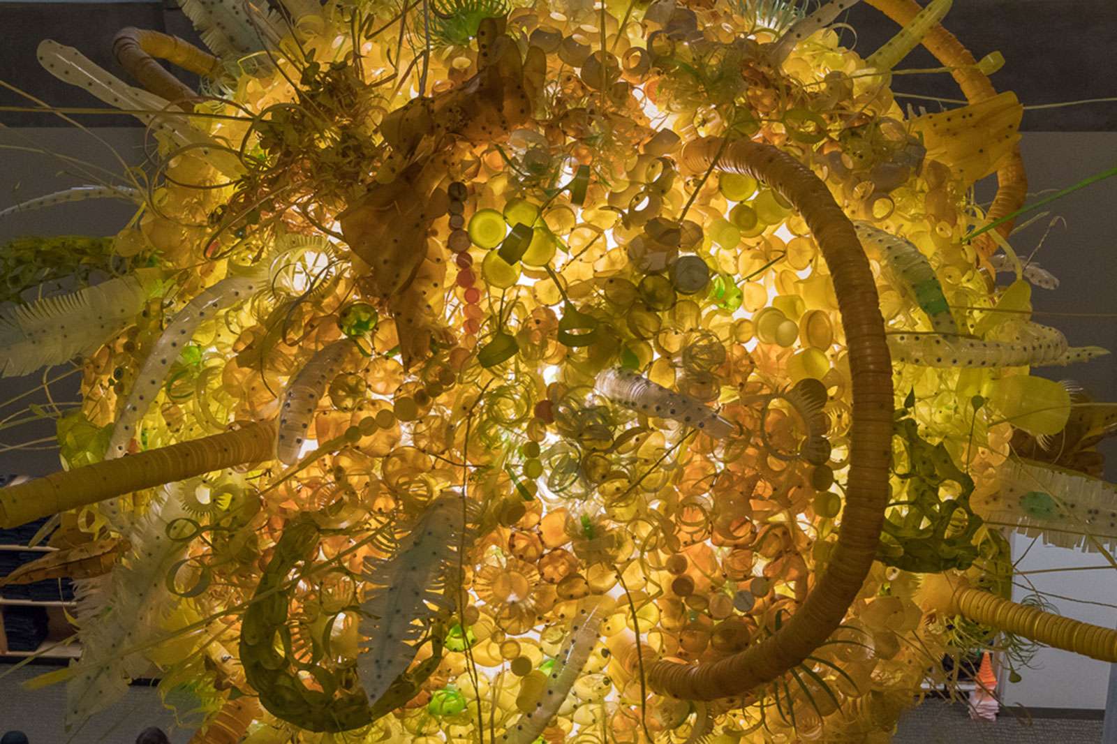 Aurora Robson | Moody Center for The Arts