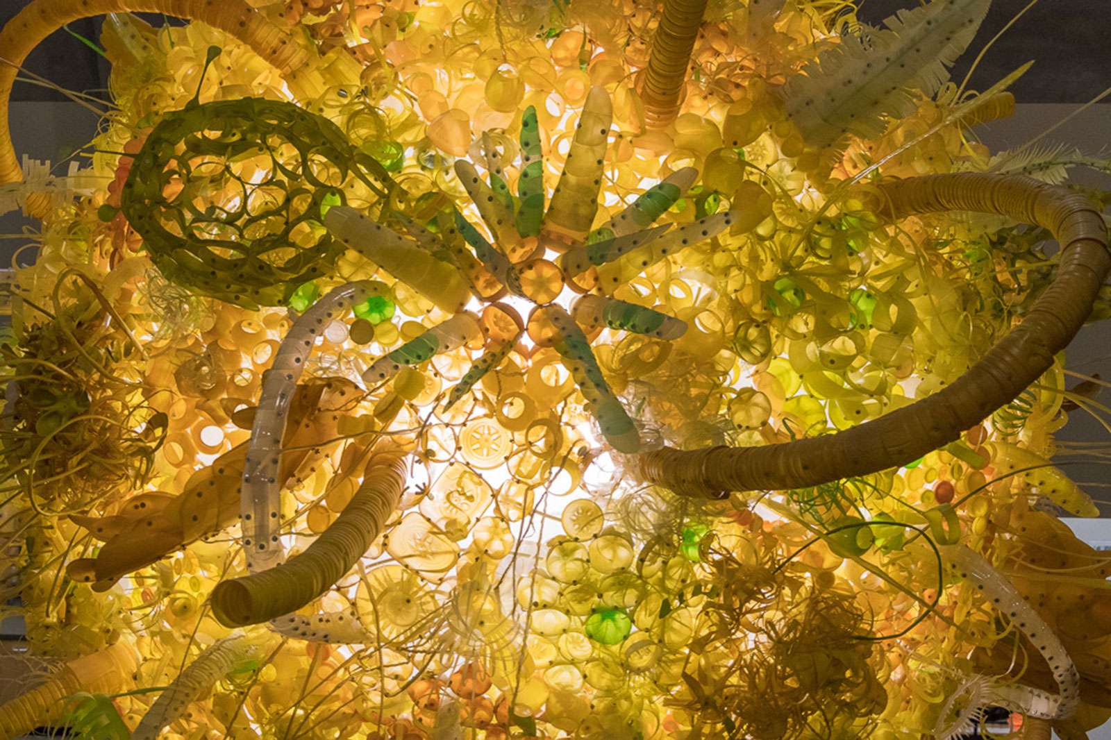 Aurora Robson | Moody Center for The Arts